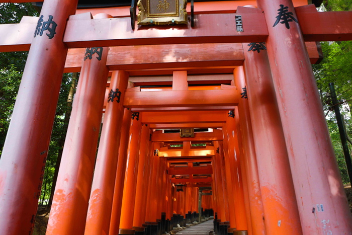 10,000 TORI GATES, KYOTO, JAPAN | Michael Weening: a few pictures